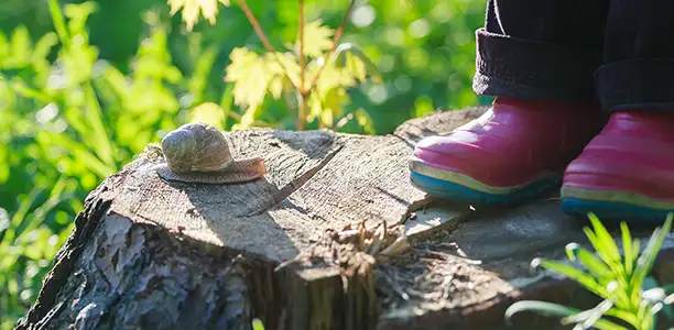 Outdoor schools: finding physical literacy in the forest – Active For Life