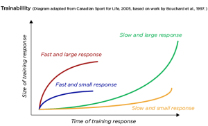Trainability: How far can training and practice take your child ...