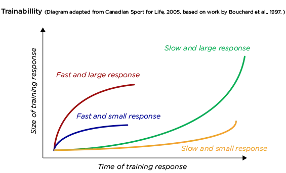 Trainability: How far can training and practice take your child ...