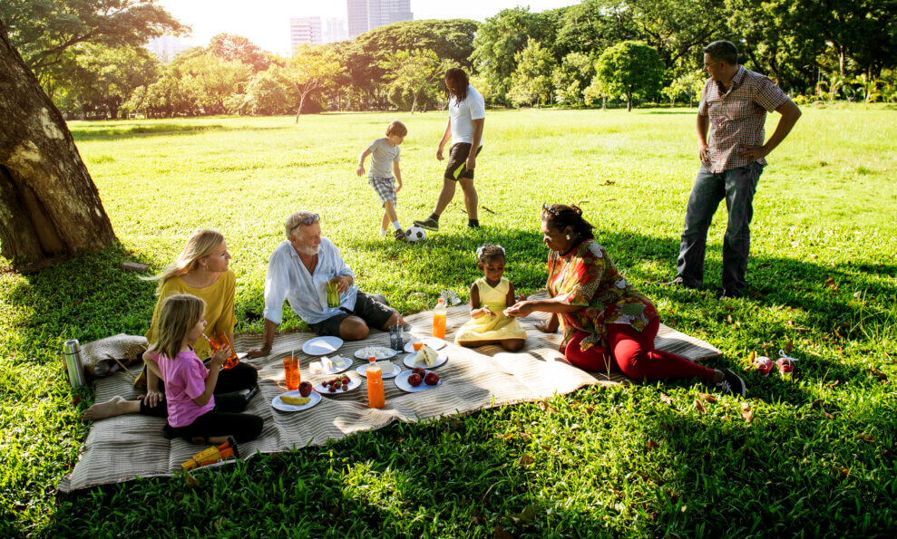 Picnic In Park