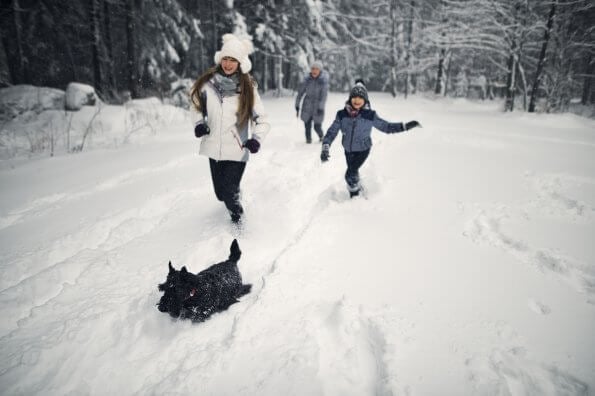29 fun games kids can play in the snow - Active For Life