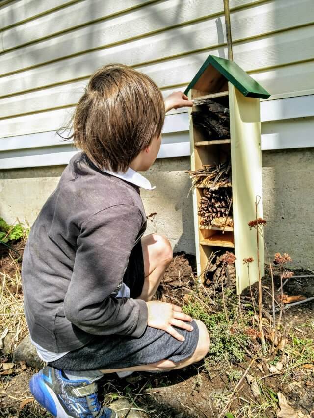 20+ nature activities for kids – Active For Life