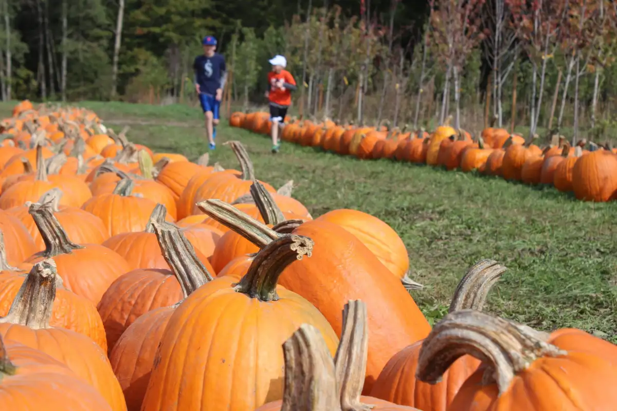 9 DIY recess ideas for distance-learning families – Active For Life