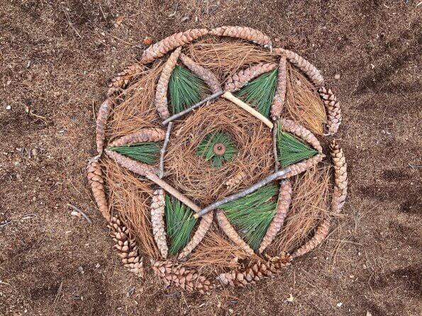 How to create a nature mandala on your walks this winter – Active For Life