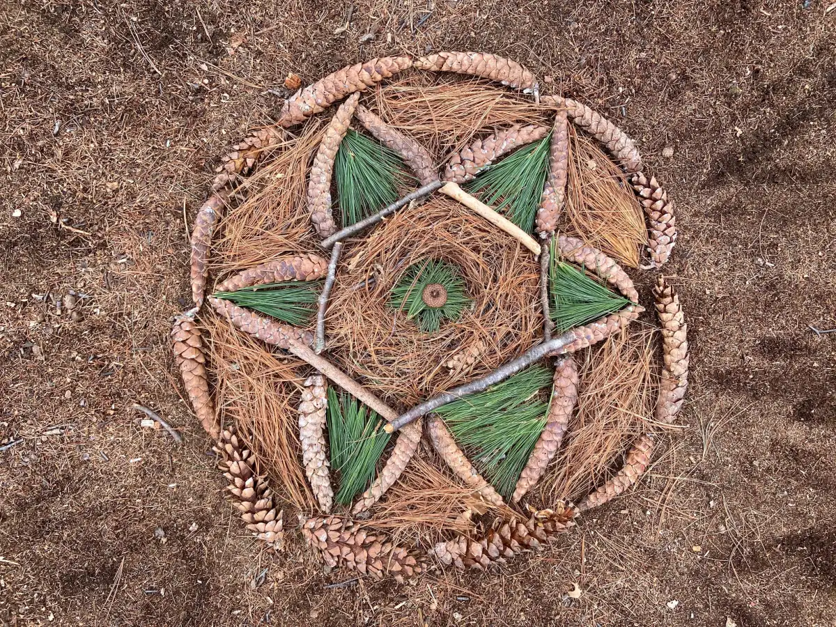 How to create a nature mandala on your walks this winter – Active For Life