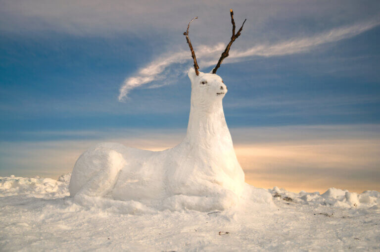 7 ways to get your older kids moving in the snow this winter – Active ...
