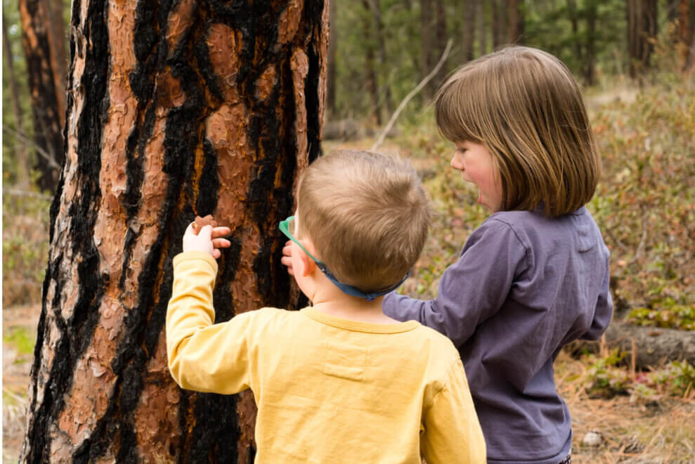 100+ outdoor play activities for kids – Active For Life