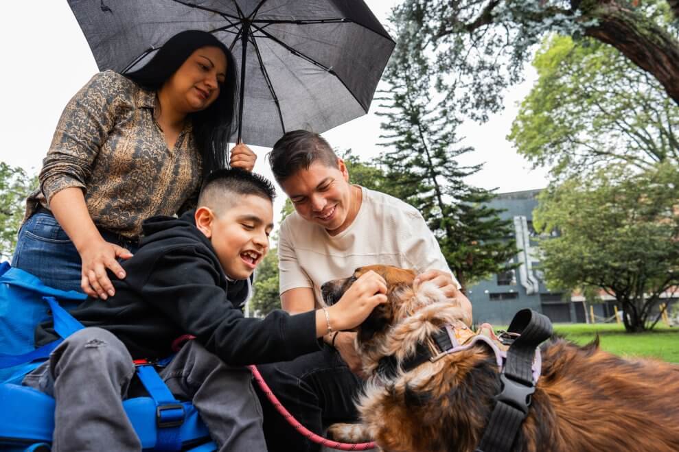 How family dogs encourage active play for children – Active For Life
