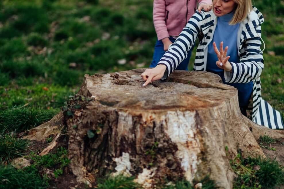 When toddlers ask “why?” answer with STEM activities – Active For Life