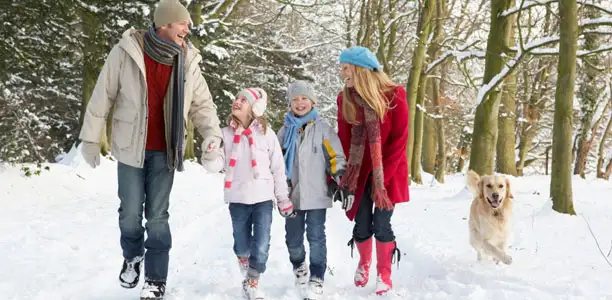 Celebrate Winter Walk Day! - Active For Life | Active For Life